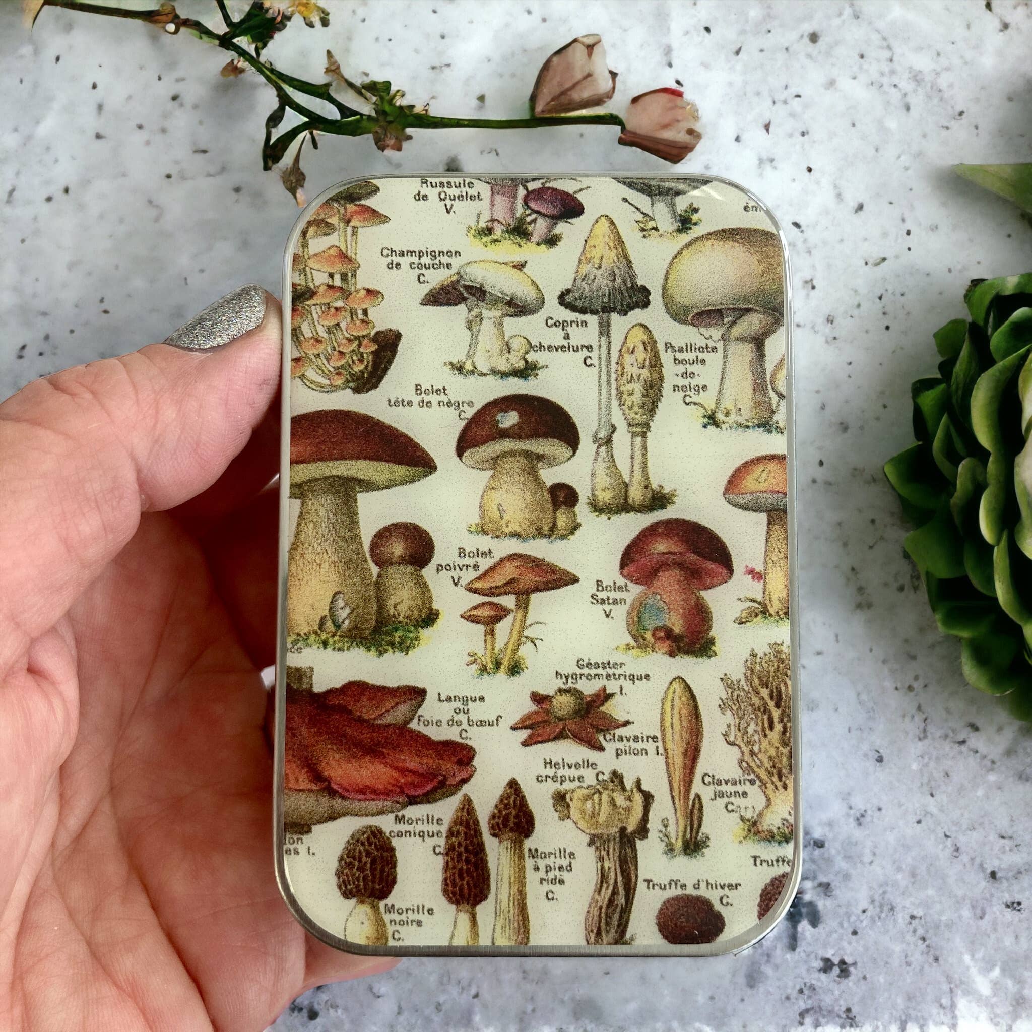 Large Mushroom Storage Tin – Two Macaws